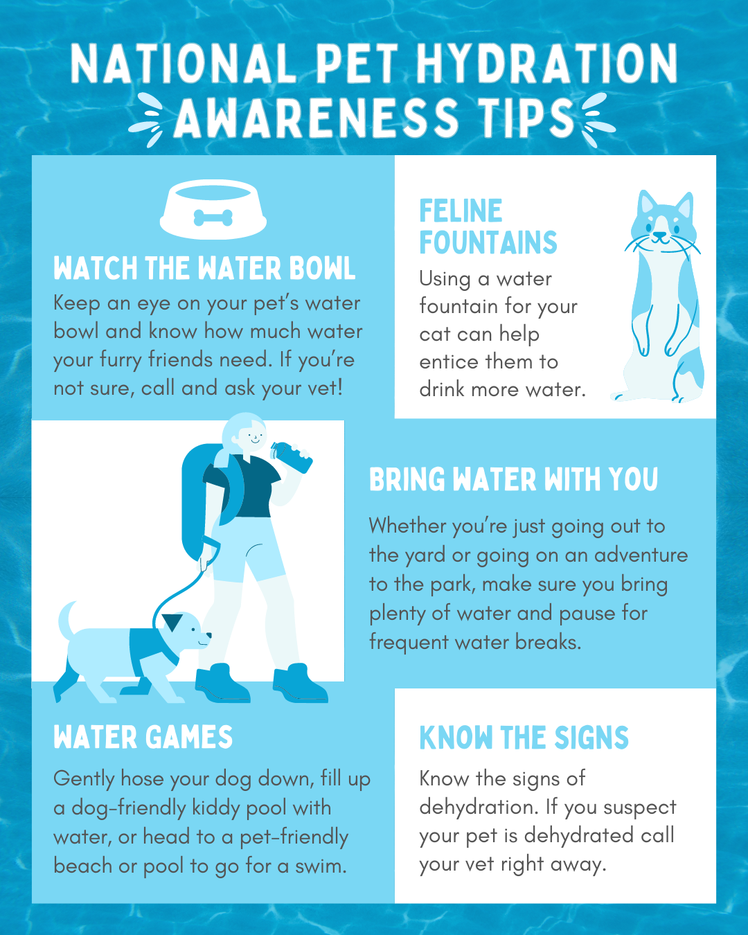 Why Hydration Matters-for Pets and People 💧 | One Health