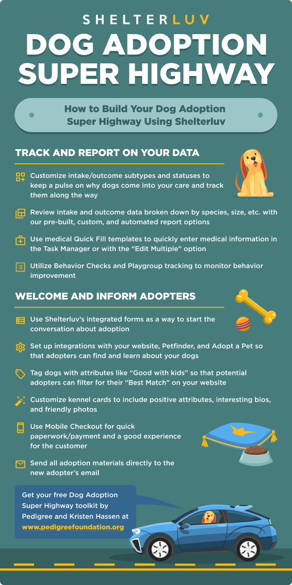 How to Build Your Dog Adoption Super Highway | Animal Welfare Professionals