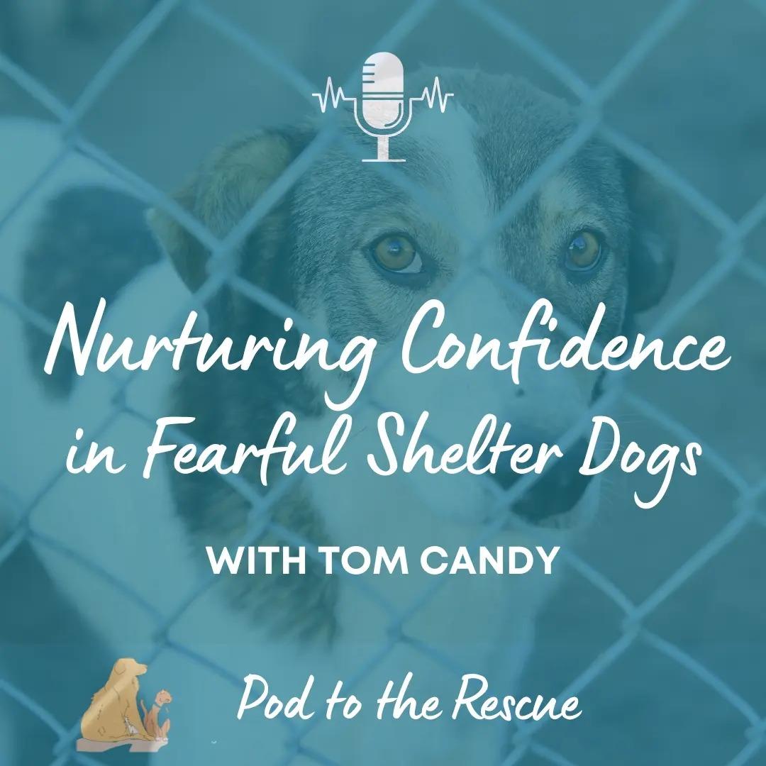 Podcast devoted to supporting shelters and rescue - Pod To The Rescue ...