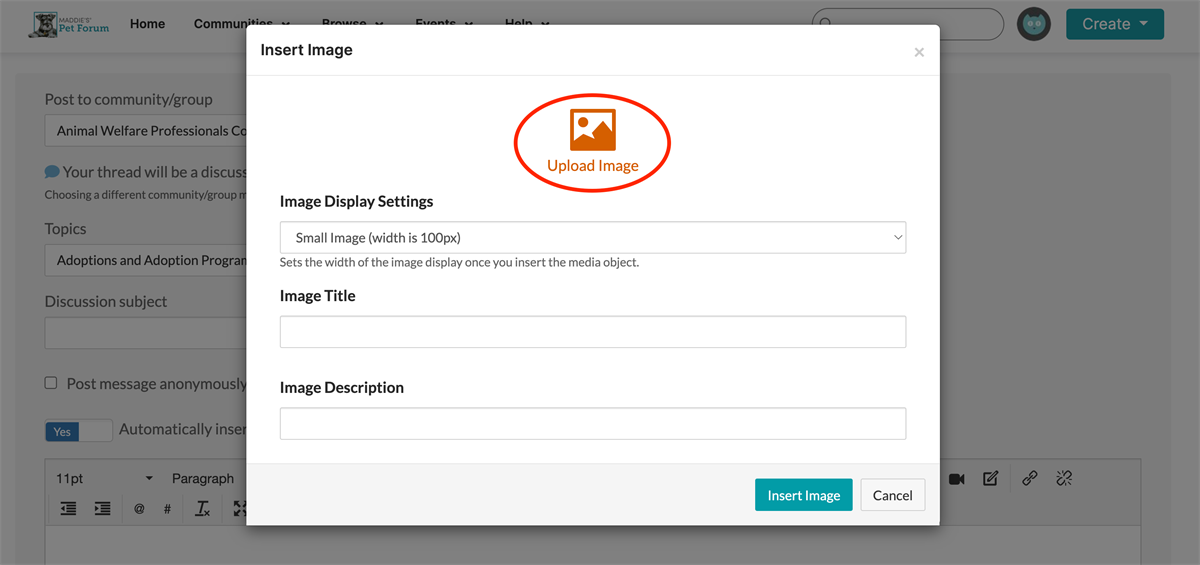How to Create a Discussion Thread in Maddie's Pet Forum | Forum Support, Tutorials & Tips