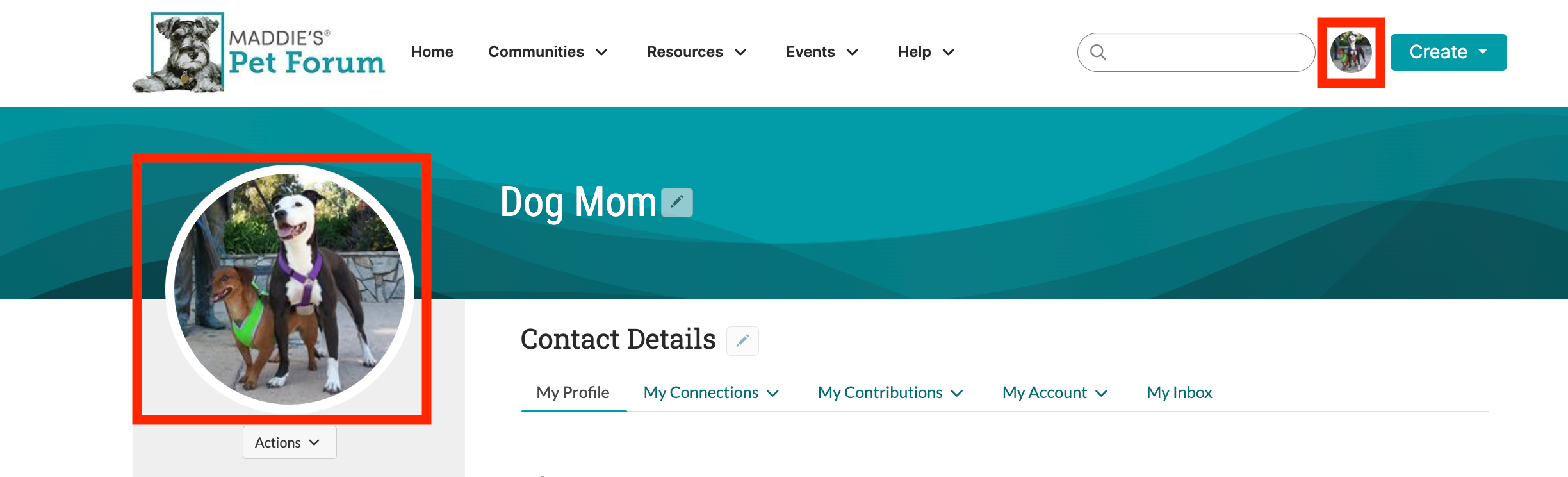 How To Change Your Profile Picture | Forum Support, Tutorials & Tips