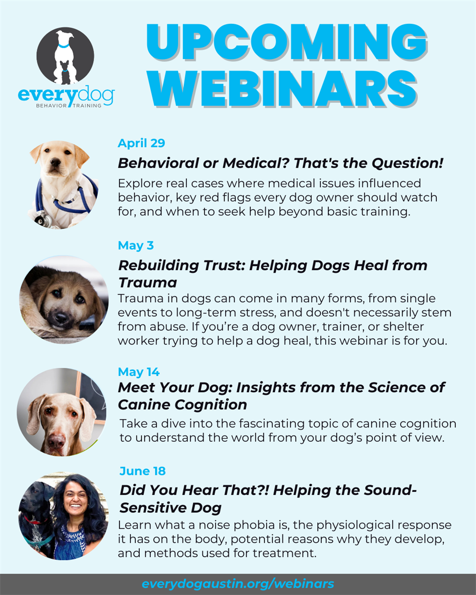Free upcoming webinars on dog behavior | Animal Welfare Professionals