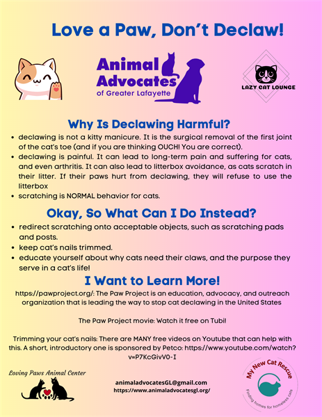 Love a Paw: Don't Declaw! | Animal Welfare Professionals