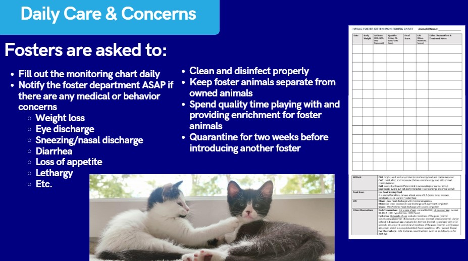 Communicating with Fosters | Animal Welfare Professionals