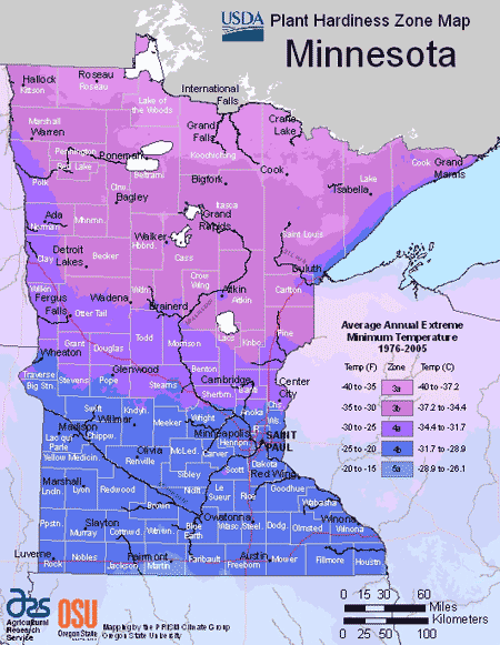 Cold Zone Gardening in Minnesota – Cushman Realty