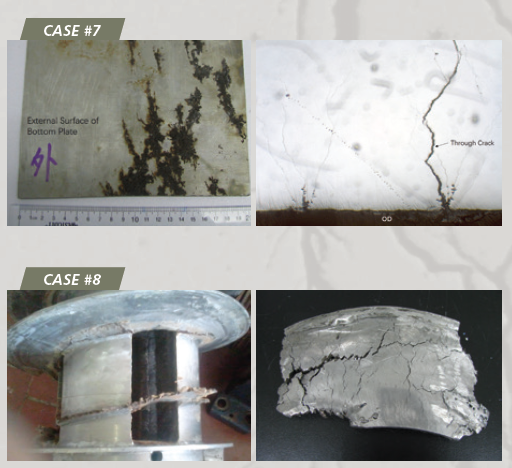 External Stress Corrosion Cracking of Stainless Steel Equipment and Pipes