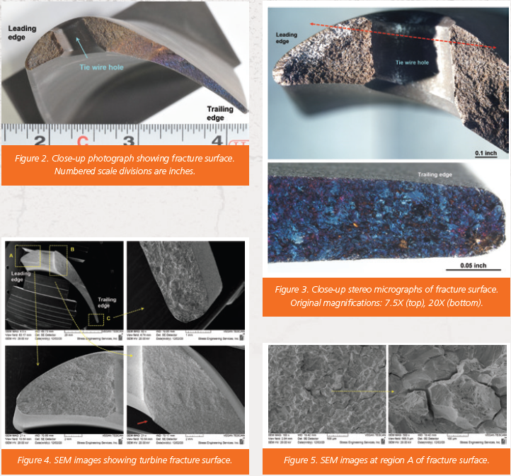 Failure Analysis: Natural Gas Compressor Turbine Blades