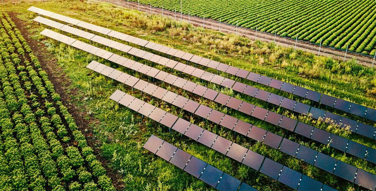 Beyond Distribution: KeHE's Commitment to Mission-Based Brands