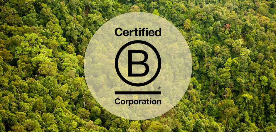 B Corps: What They Are and Why You Should Care