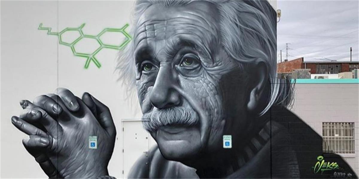 National Symposium on Sexual Behavior of Youth - NCSBY Connected Community