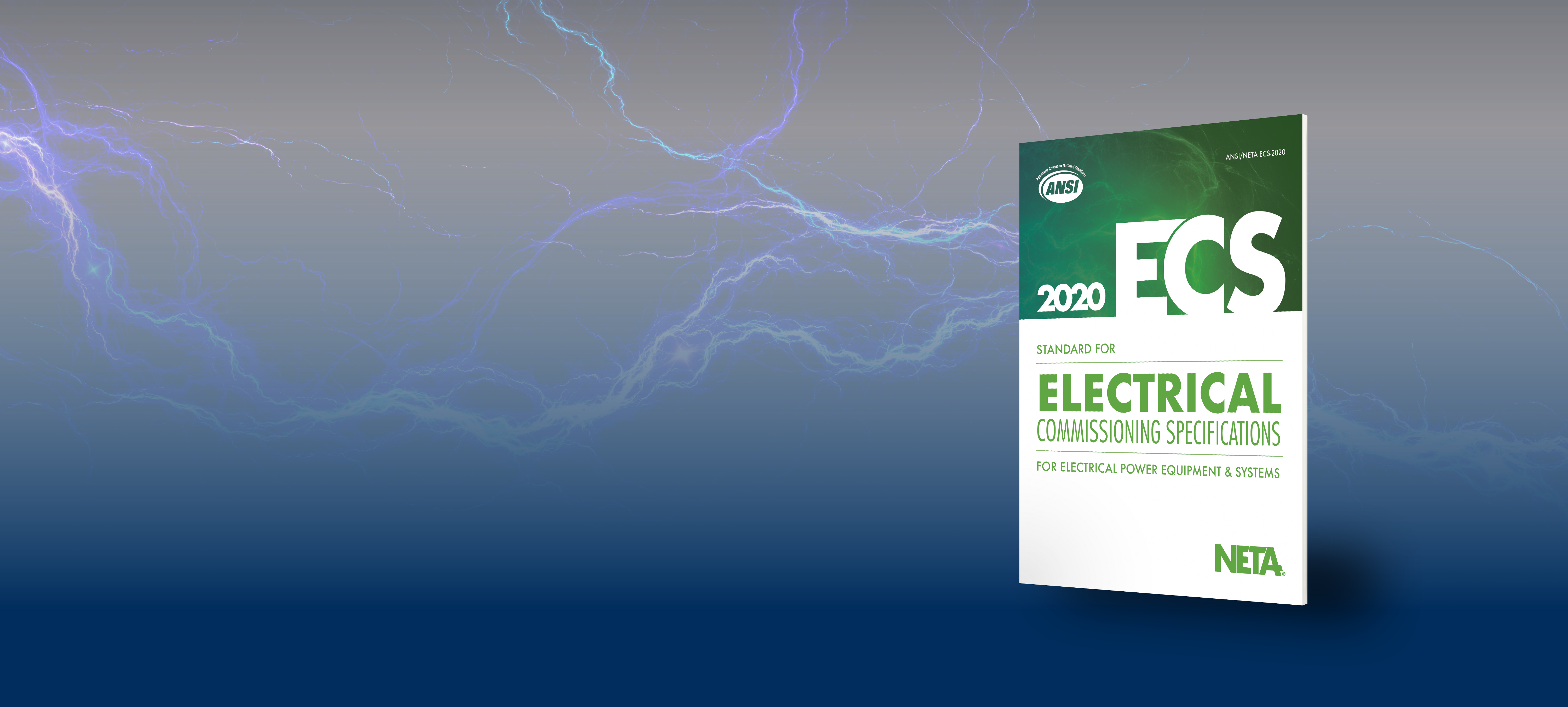 Home - InterNational Electrical Testing Association