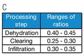 Understanding Tissue Processing Protocols