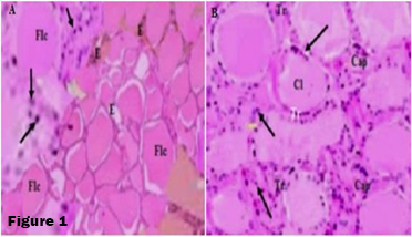 4 Seasons in One Laboratory