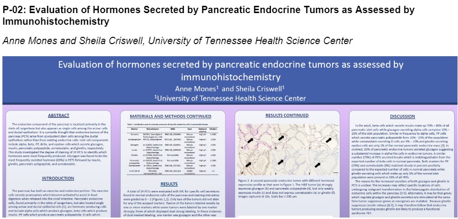 2023 NSH Poster Winners Brought Exciting Research to the NSH Convention