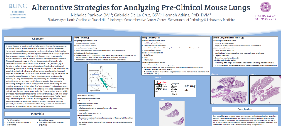 2023 NSH Poster Winners Brought Exciting Research to the NSH Convention