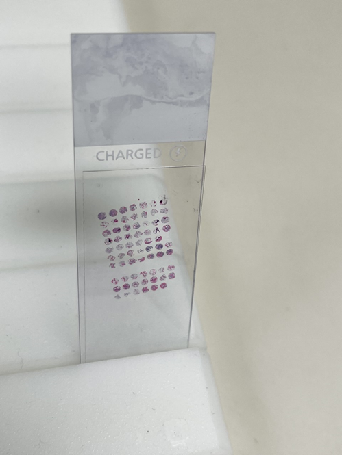 Creating Tissue Microarrays: Manual vs. Automated Tissue Microarrayer