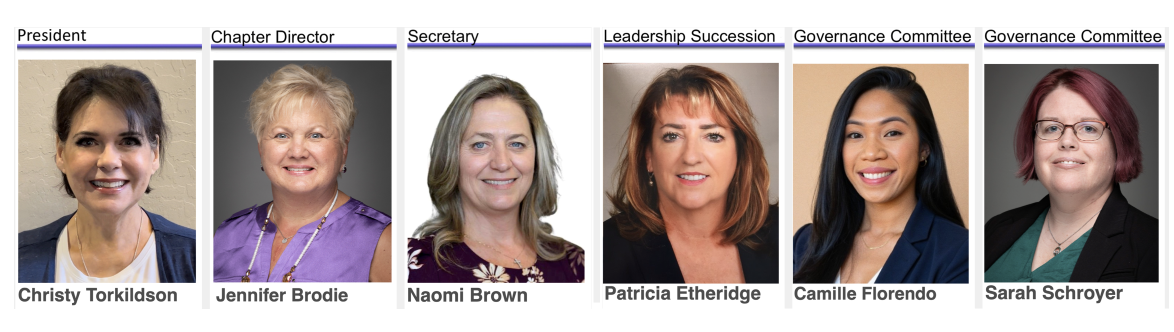 Home - Nu Upsilon Chapter