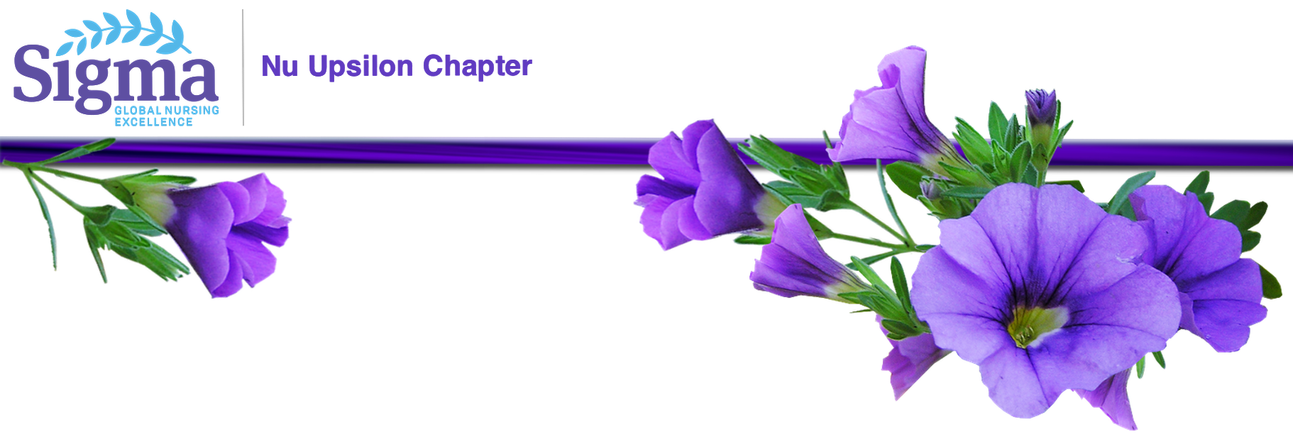 Home - Nu Upsilon Chapter