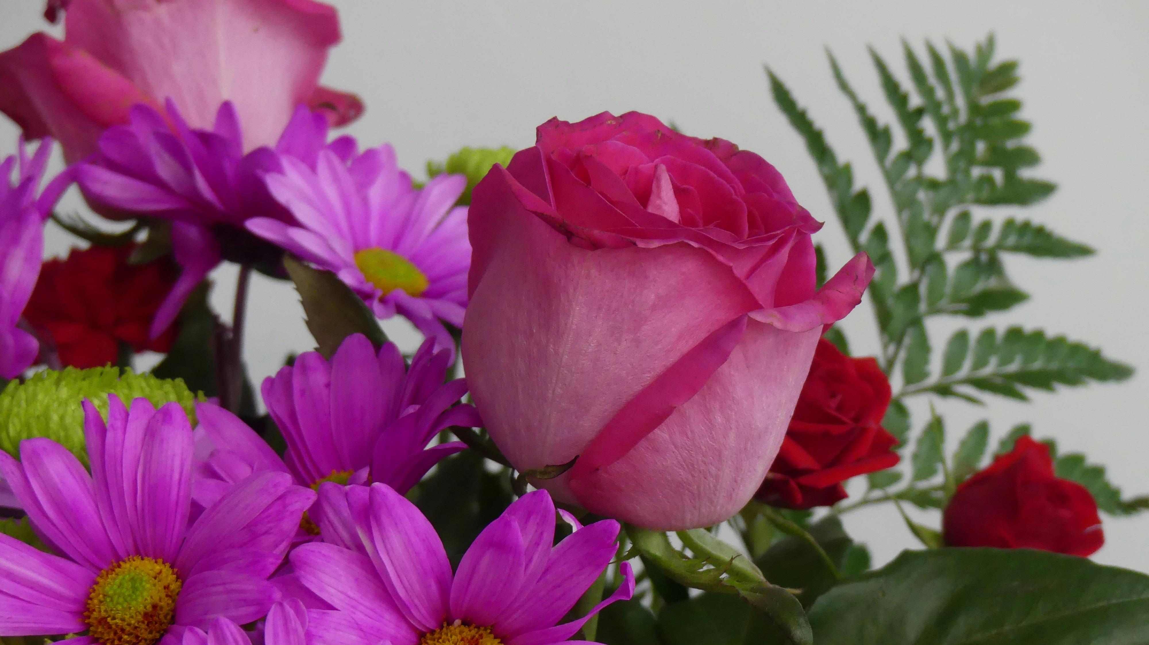 Home - Alpha Beta Nu Chapter