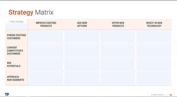 Focus Action Guide: Strategy Matrix