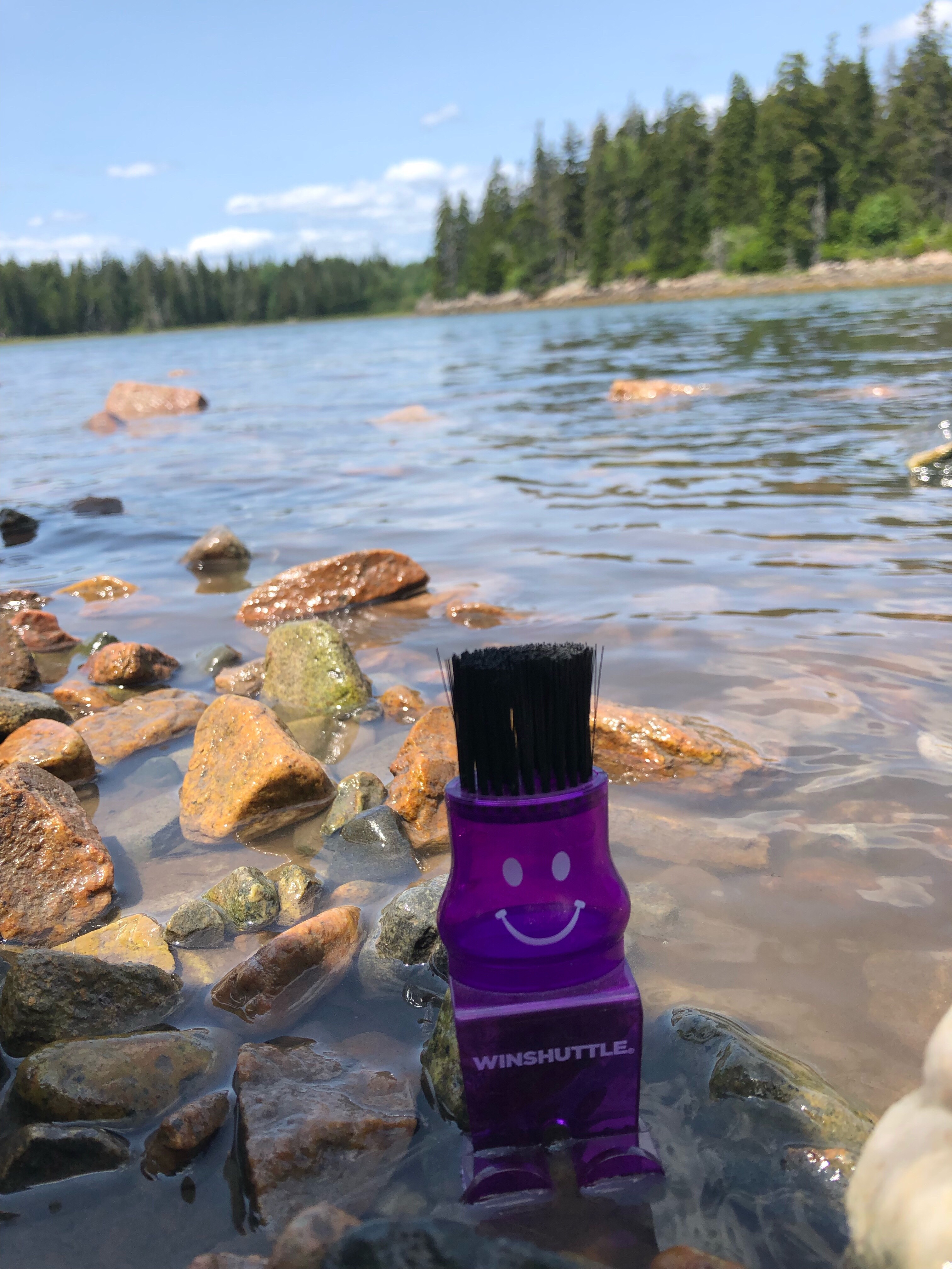 Hiking Acadia & Toes in the Atlantic | Automate