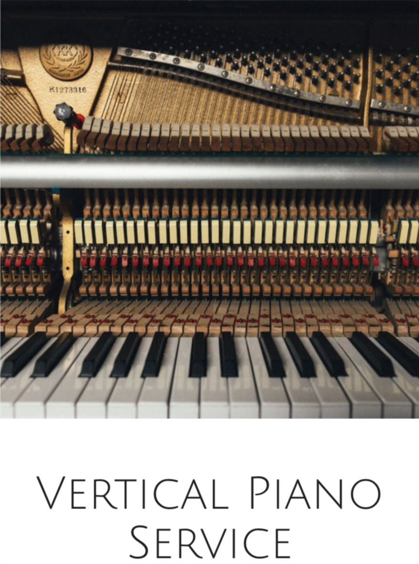 Home - PTG Education Hub