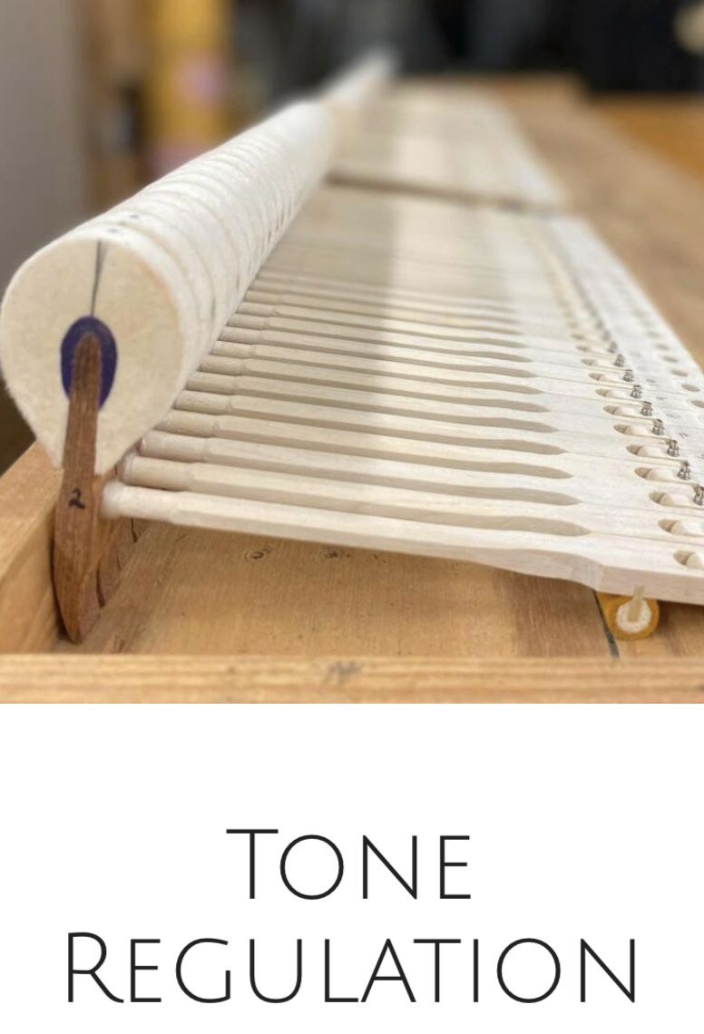 Home - PTG Education Hub