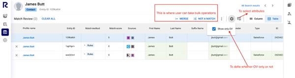 Reltio New UI Profile Page & Related Perspectives