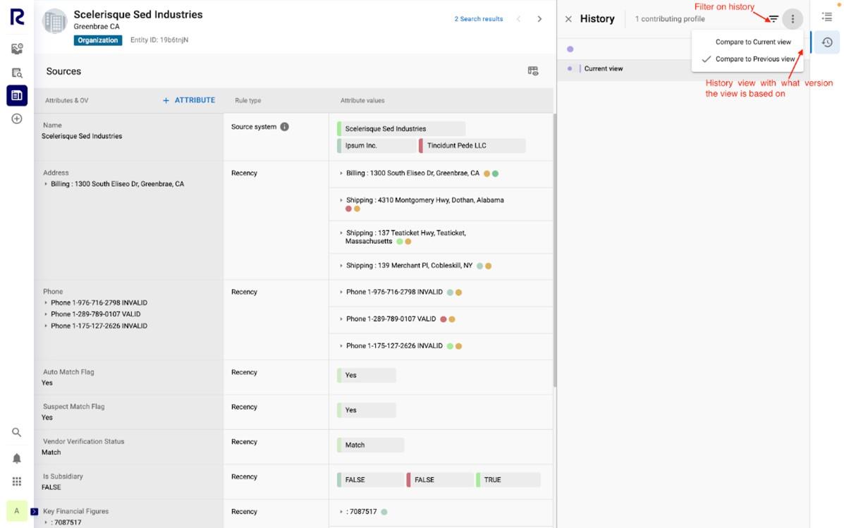 Reltio New UI Profile Page & Related Perspectives