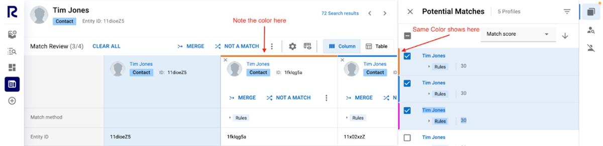 Reltio New UI Profile Page & Related Perspectives