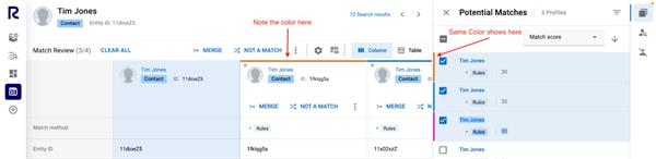 Reltio New UI Profile Page & Related Perspectives