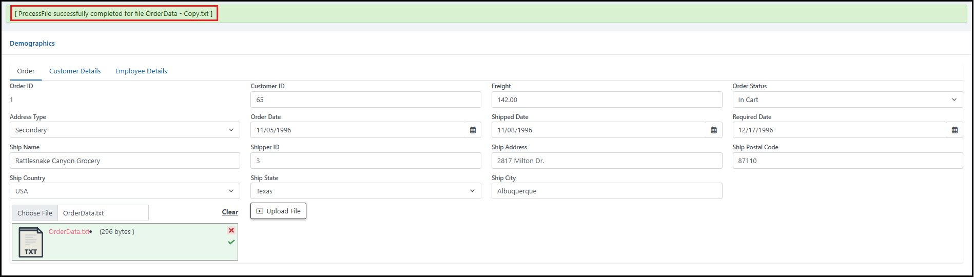 Test the Inbound File and View Uploaded Records