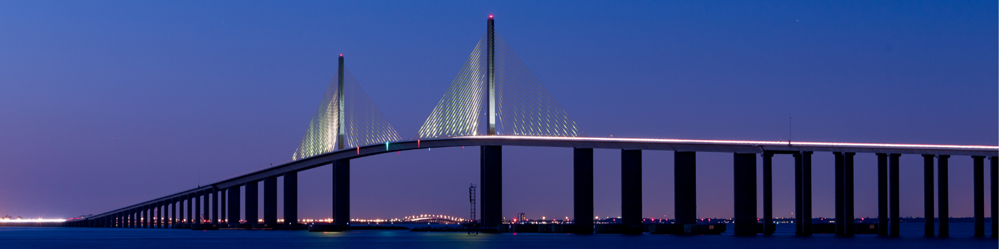 Home - SIM Tampa Bay Chapter