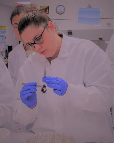 Patrick Allard, Brittany L. Baisch, Suzanne E. Fenton, Erin P. Hines ...