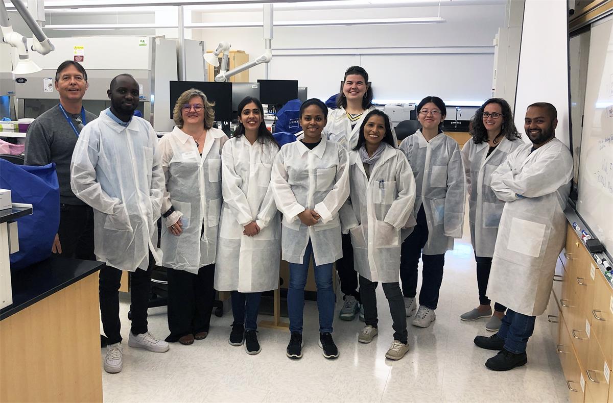 Insights from a 3D Cell Culture Workshop