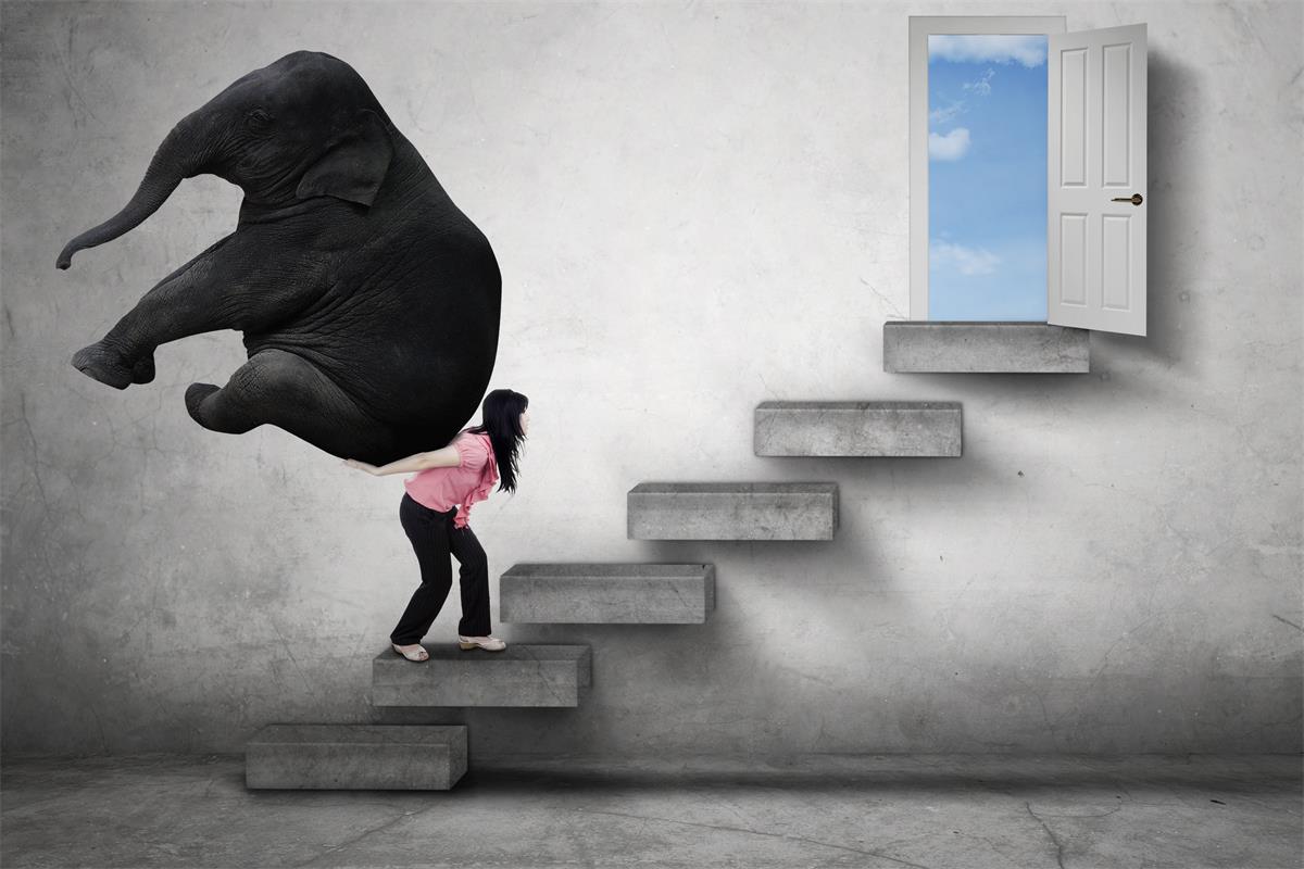 Inviting an Elephant up the Stairs: Improving Communication through Improv