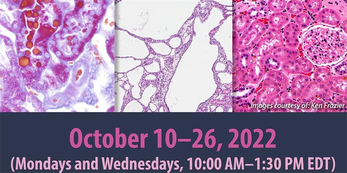 Events Calendar - Society of Toxicologic Pathology