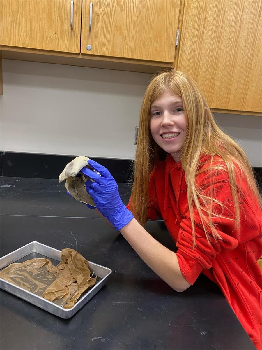 STP Celebrates International Day of Women & Girls in Science - February ...