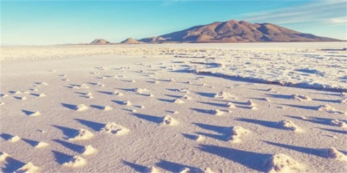 Upcoming Events - TerraLex